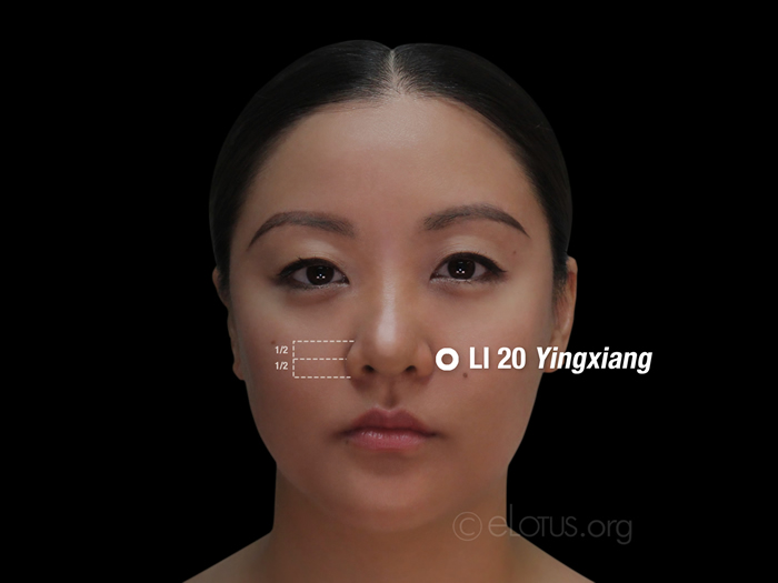 Yingxiang (LI 20) | Master Tung's Acupuncture | eLotus CORE Yingxiang (LI 20) | Master Tung's Acupuncture | eLotus CORE
